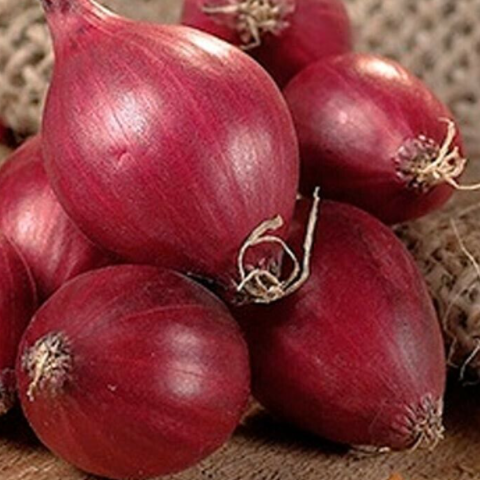 Vegetables – Seeds To Suit