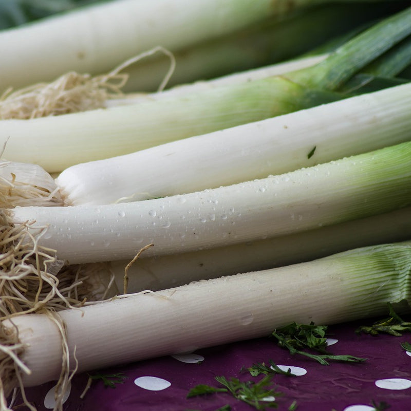 Leek Musselburgh – Seeds To Suit